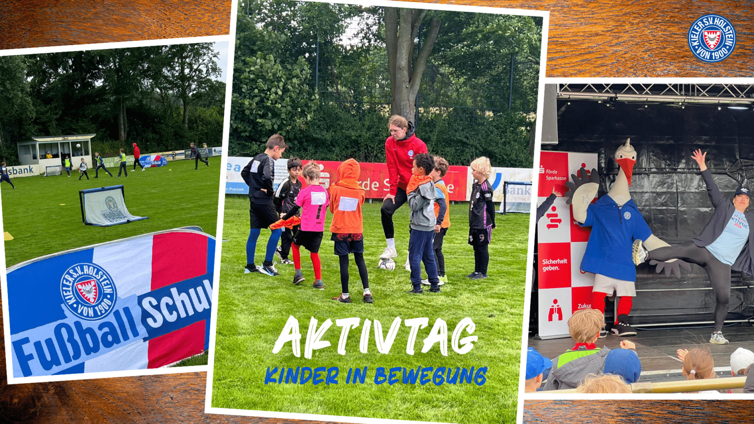 Kieler Sportvereinigung Holstein von 1900 e. V. – Holstein Kiel